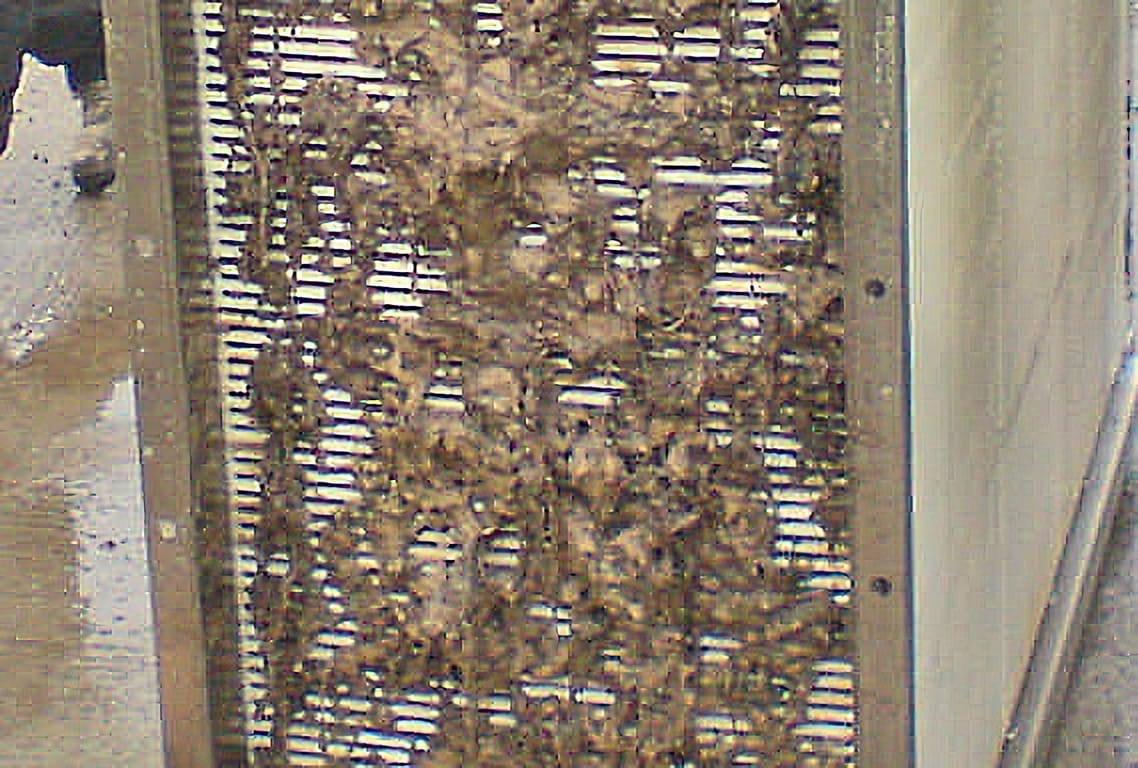 What Are the Causes of Flat Sheet Membrane Fouling? - Water Treatment ...